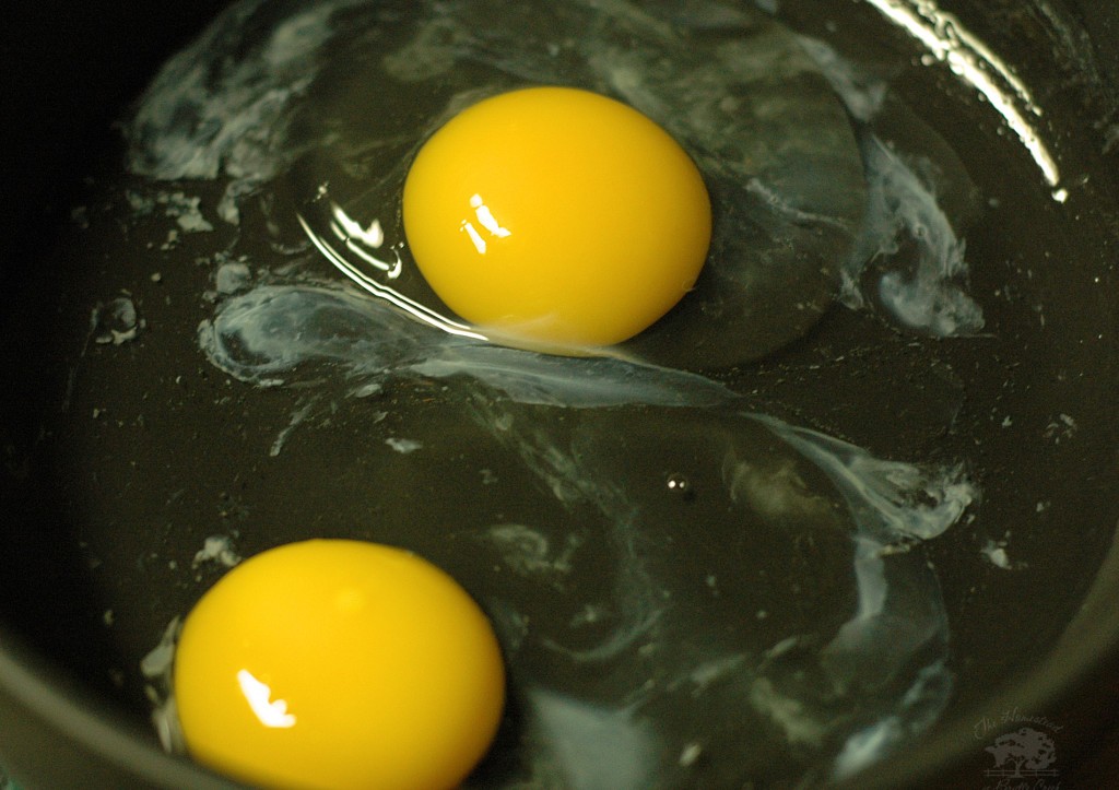 So – Your Recipe Calls for Raw Eggs . . . .Hmmmm